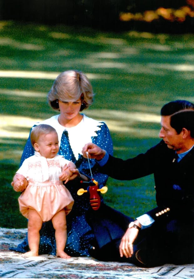 buzzy bee prince william