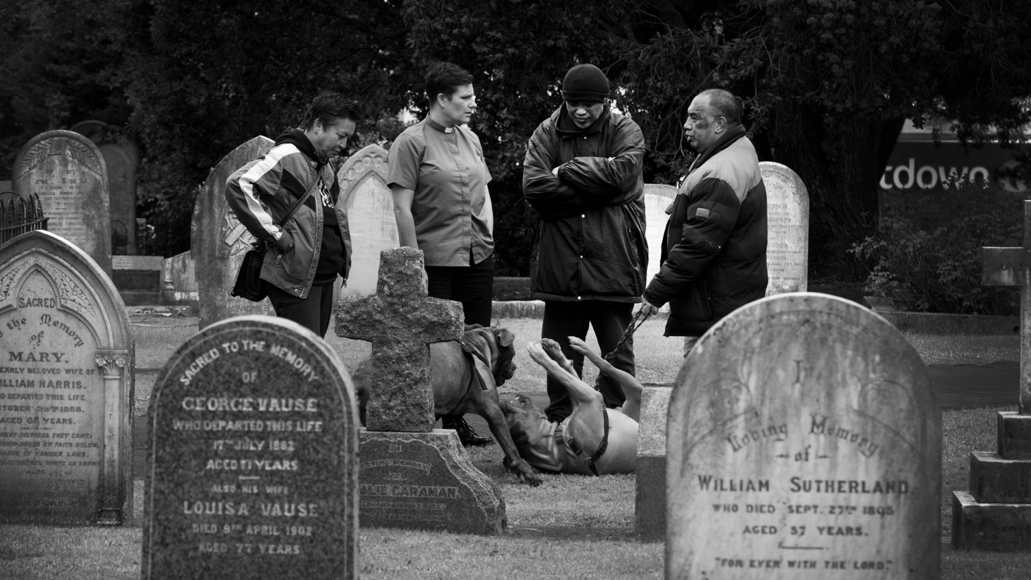 Homeless in Auckland