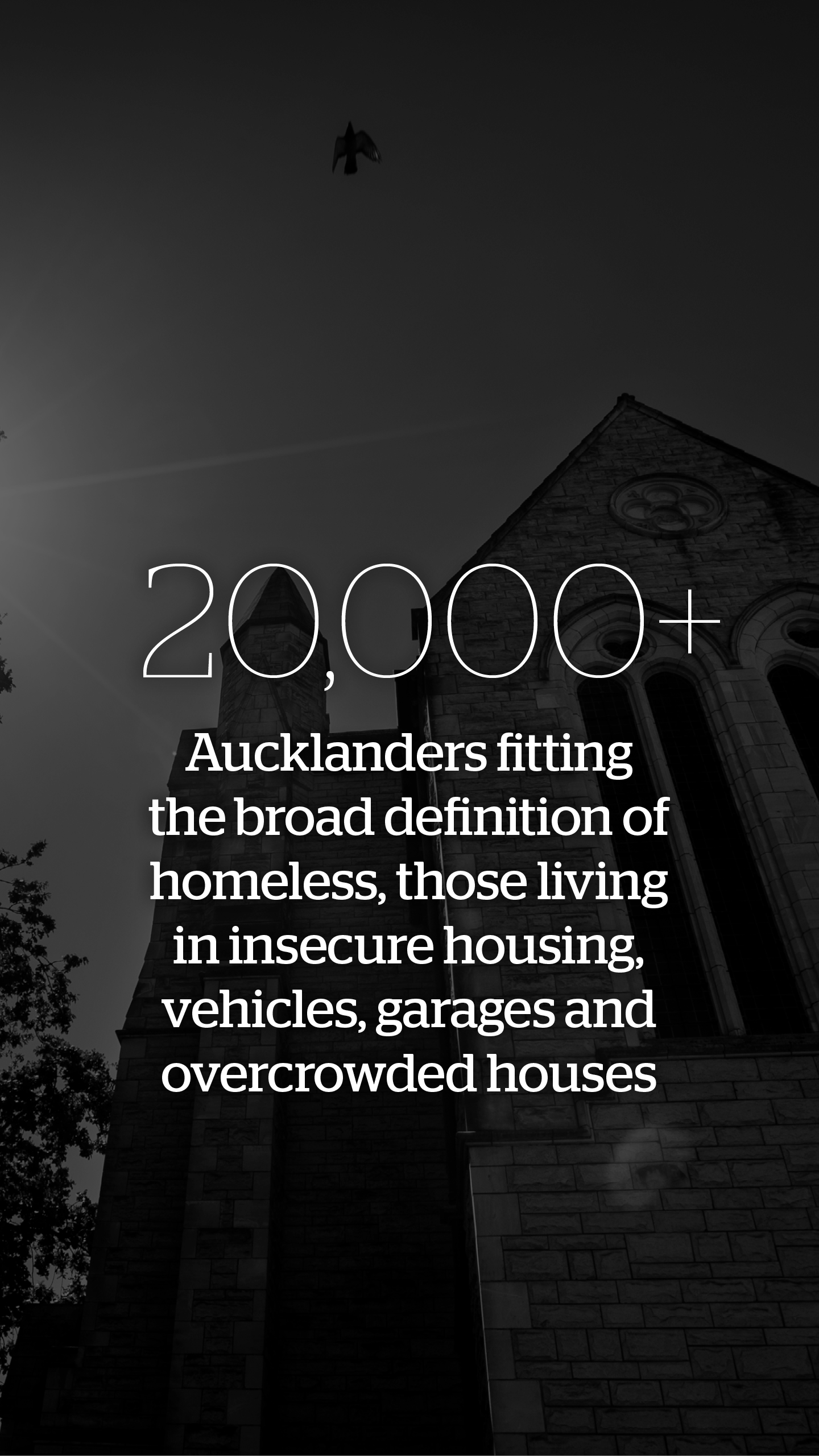 Homeless in Auckland