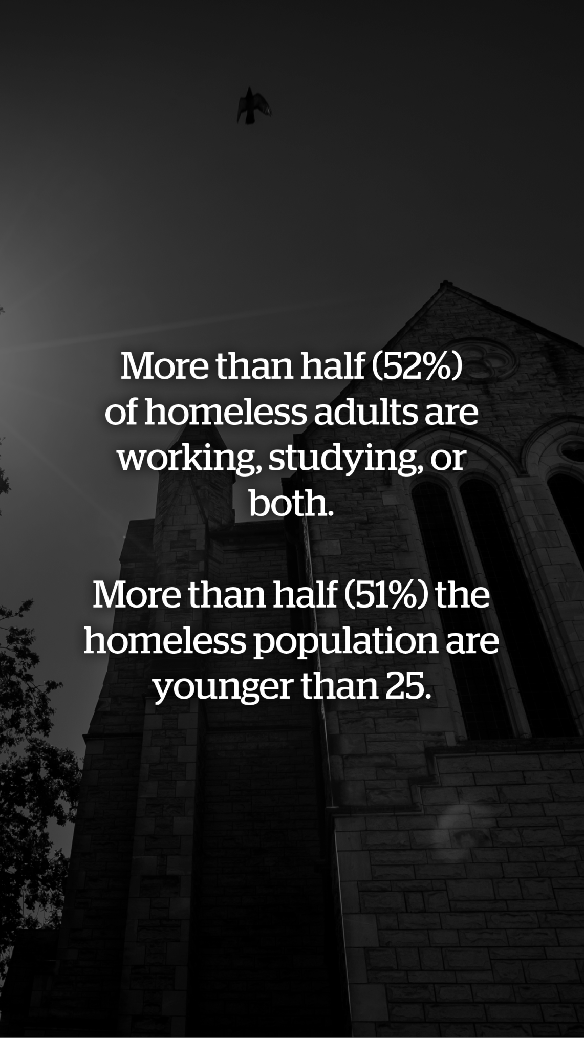 Homeless in Auckland