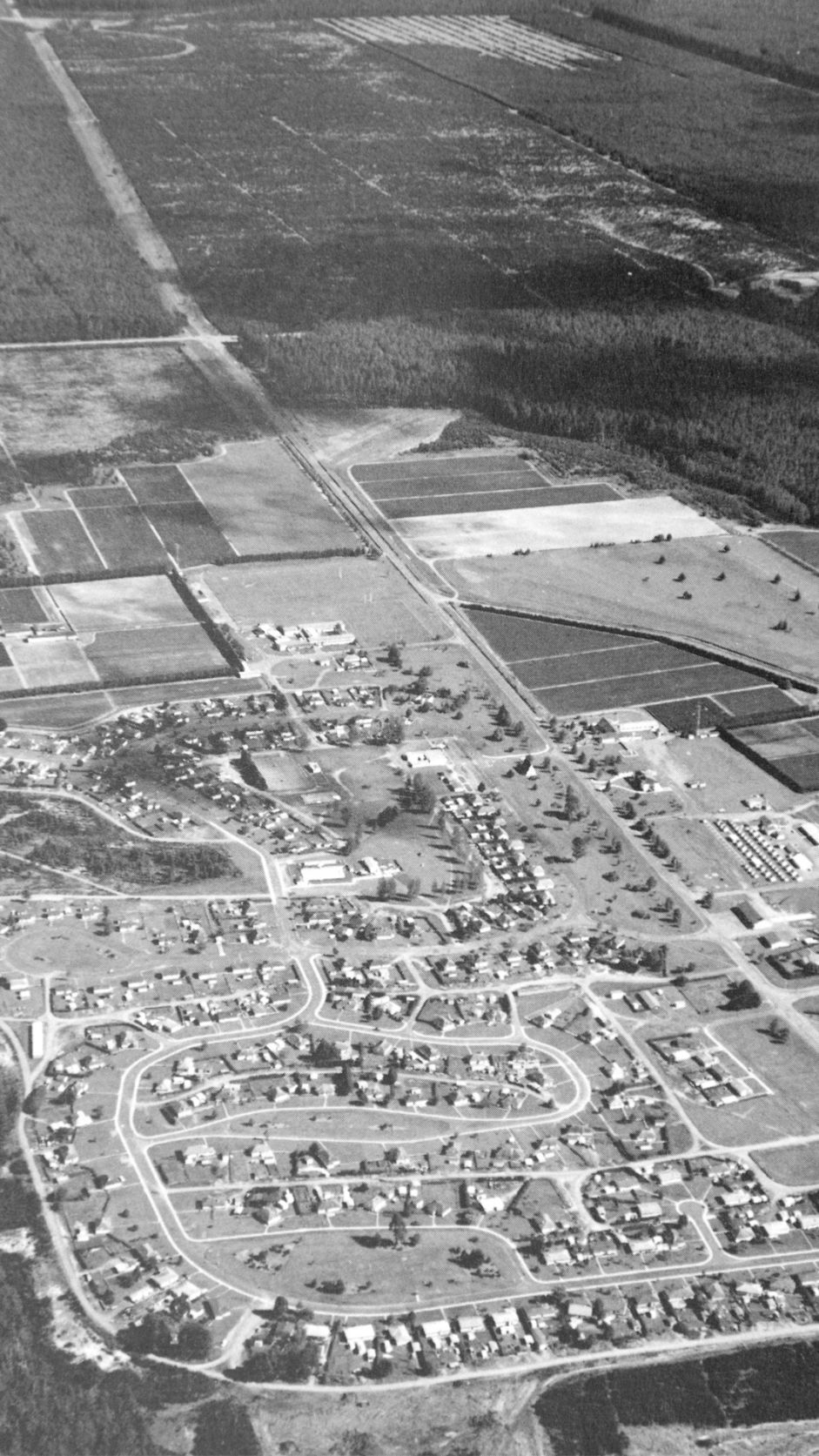 Kaingaroa: From heaven to hell and back again