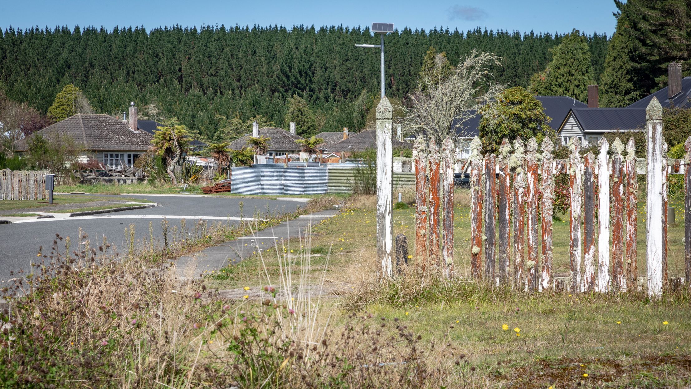 Kaingaroa: From heaven to hell and back again