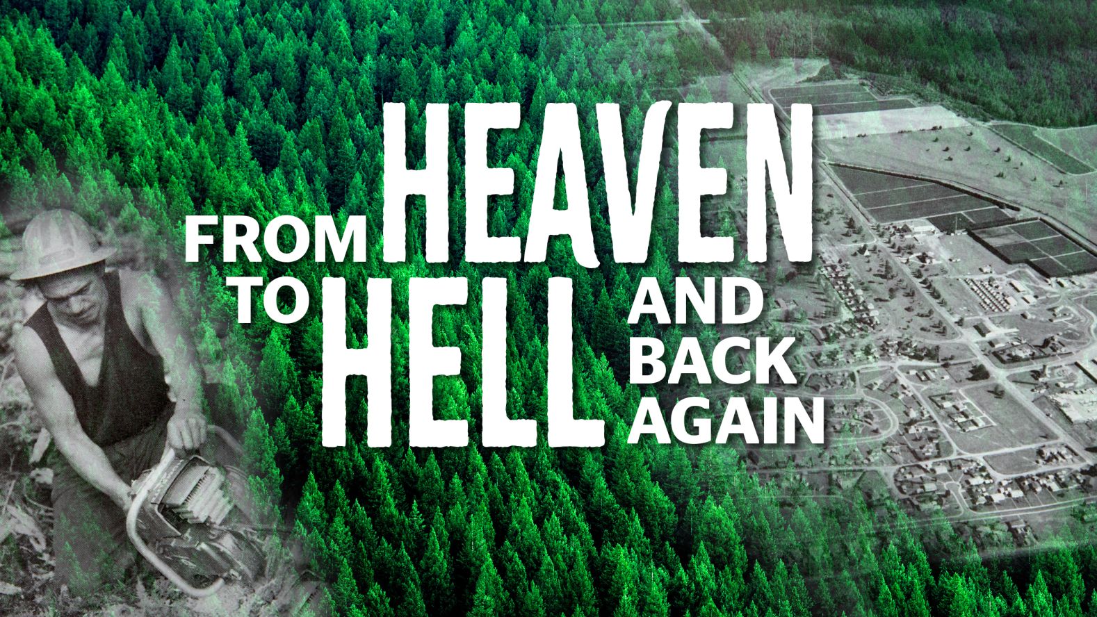 Kaingaroa: From heaven to hell and back again