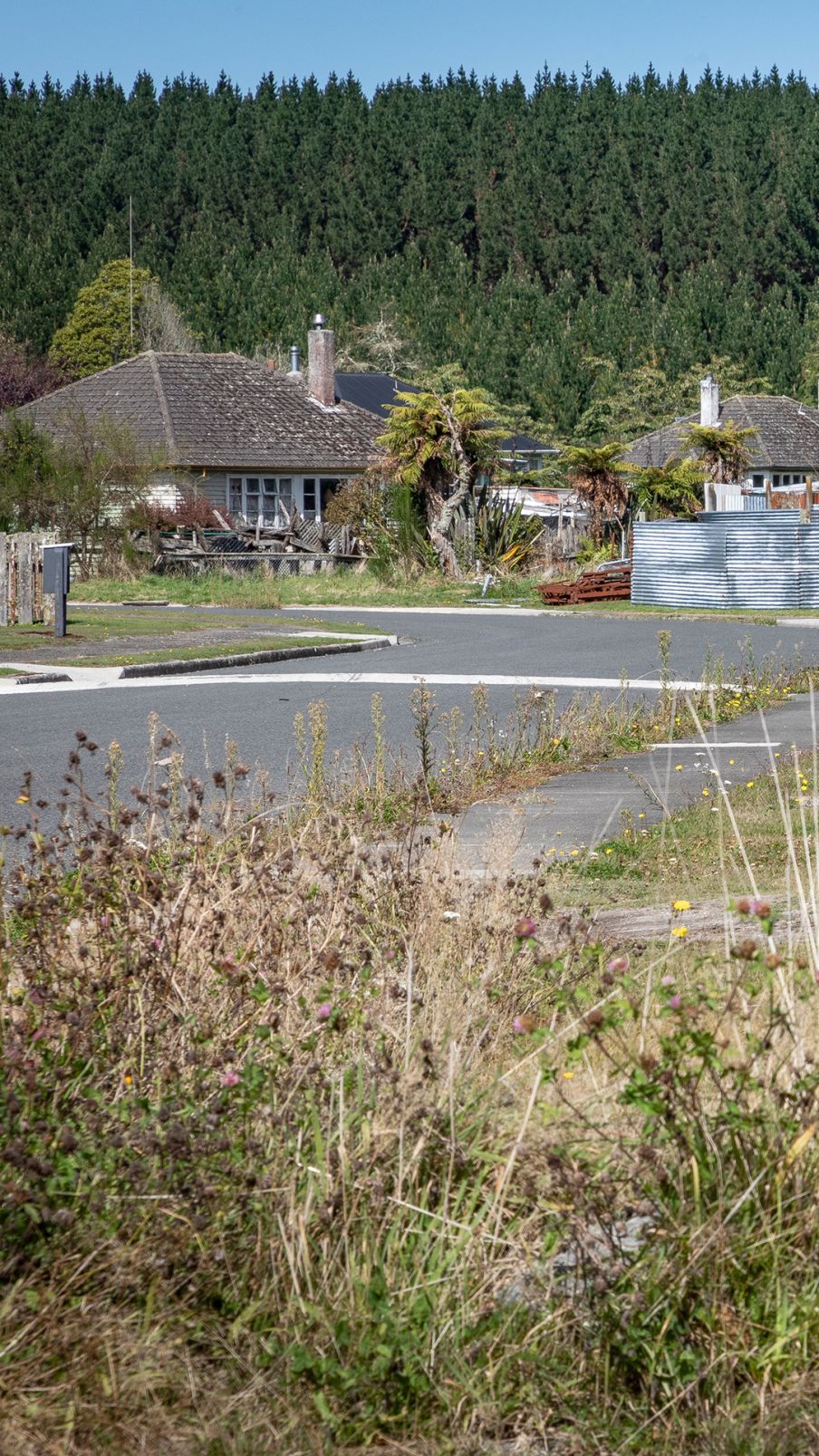 Kaingaroa: From heaven to hell and back again