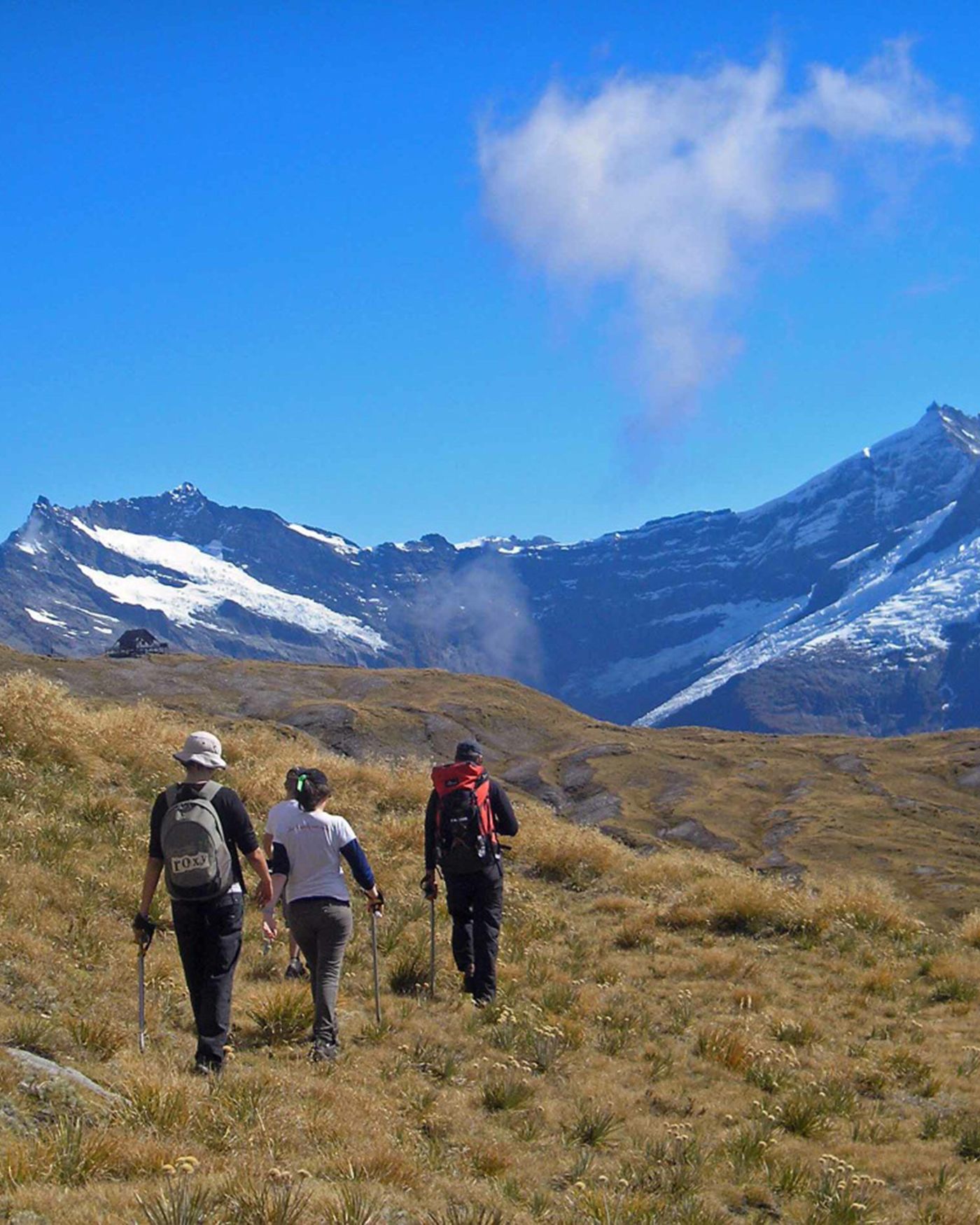 New Zealand's most luxurious multi-day hikes in comfort
