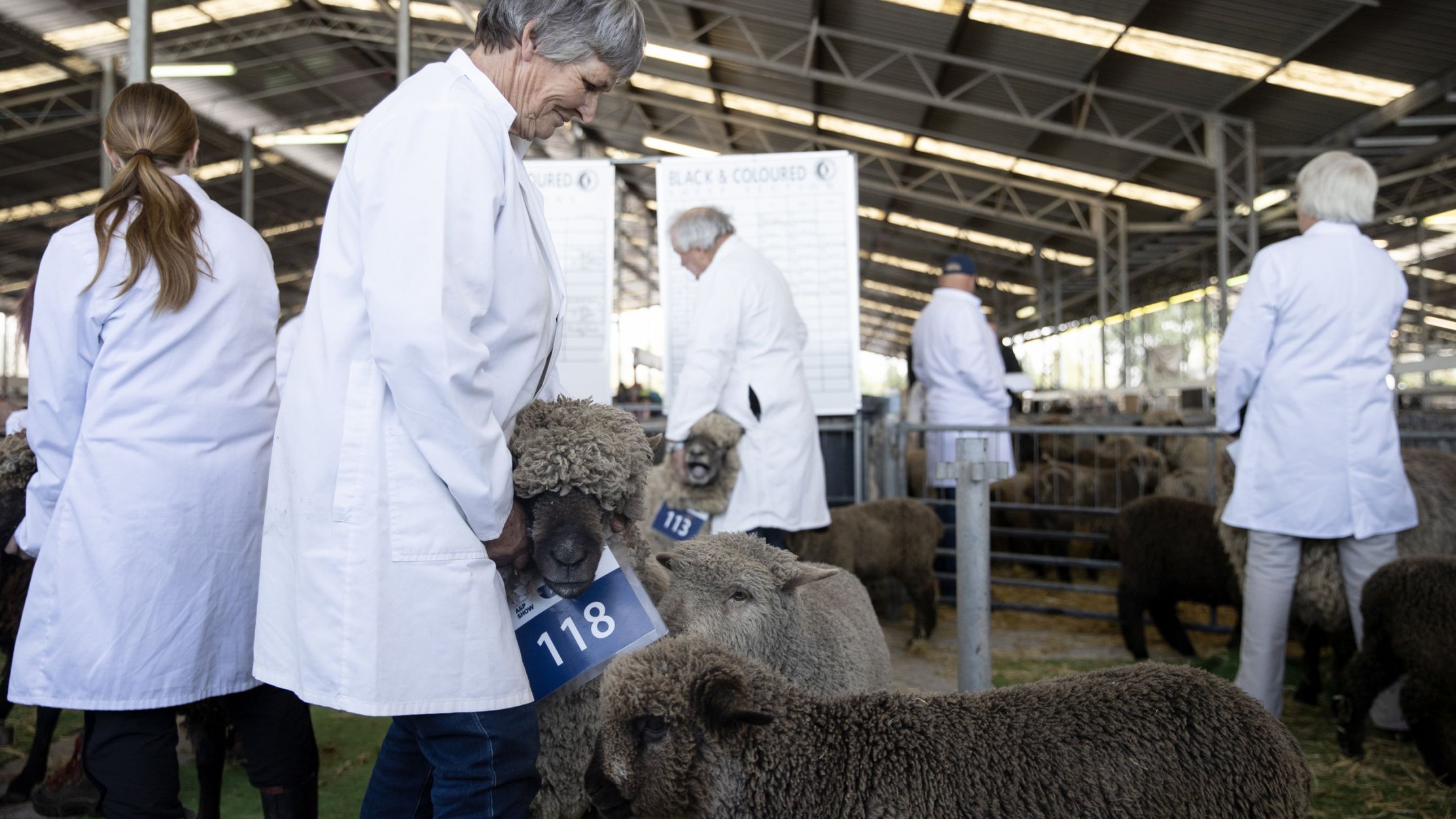 Show Day: When country comes to town.