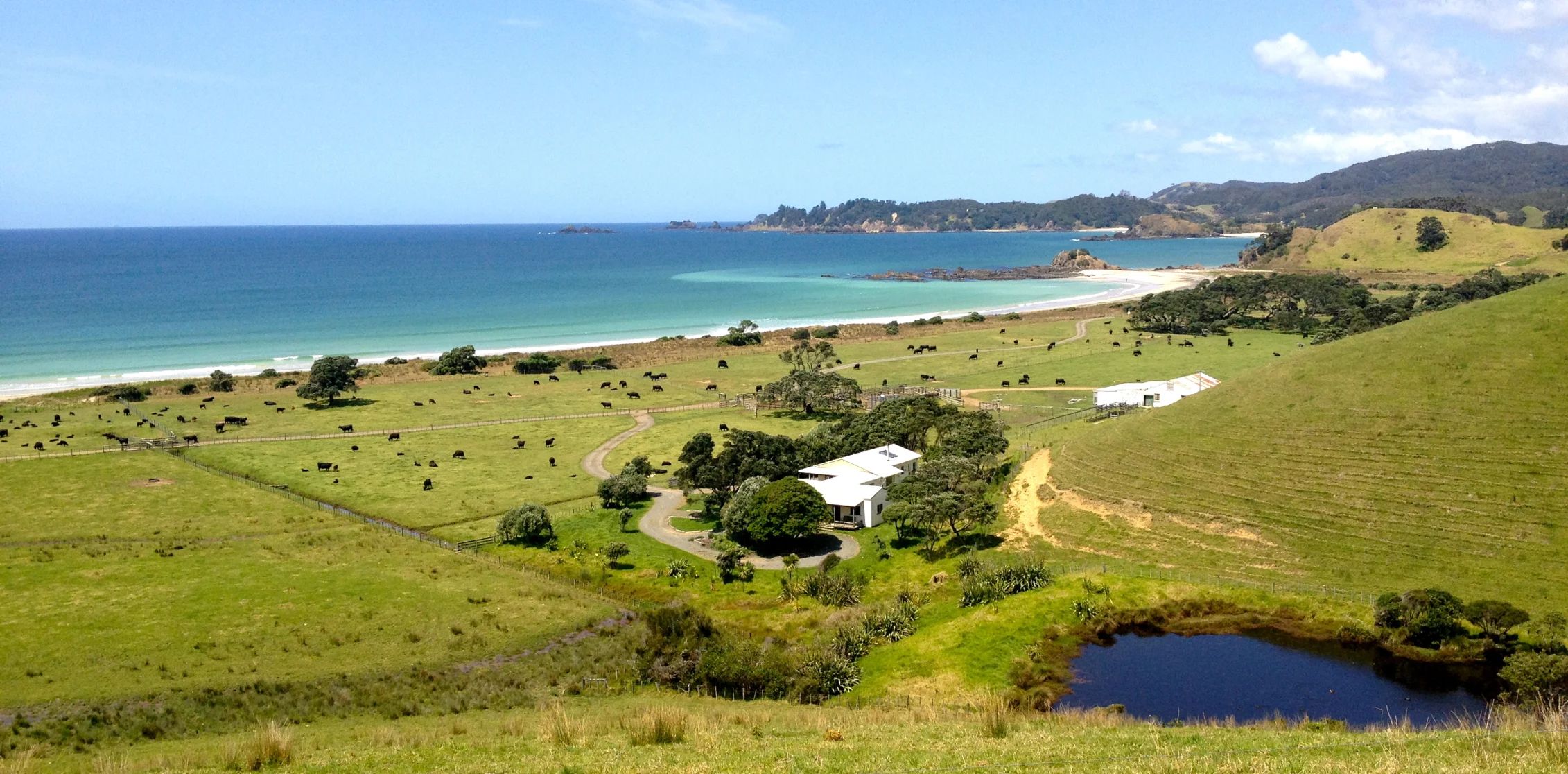 DoC's Most Popular Summer Huts