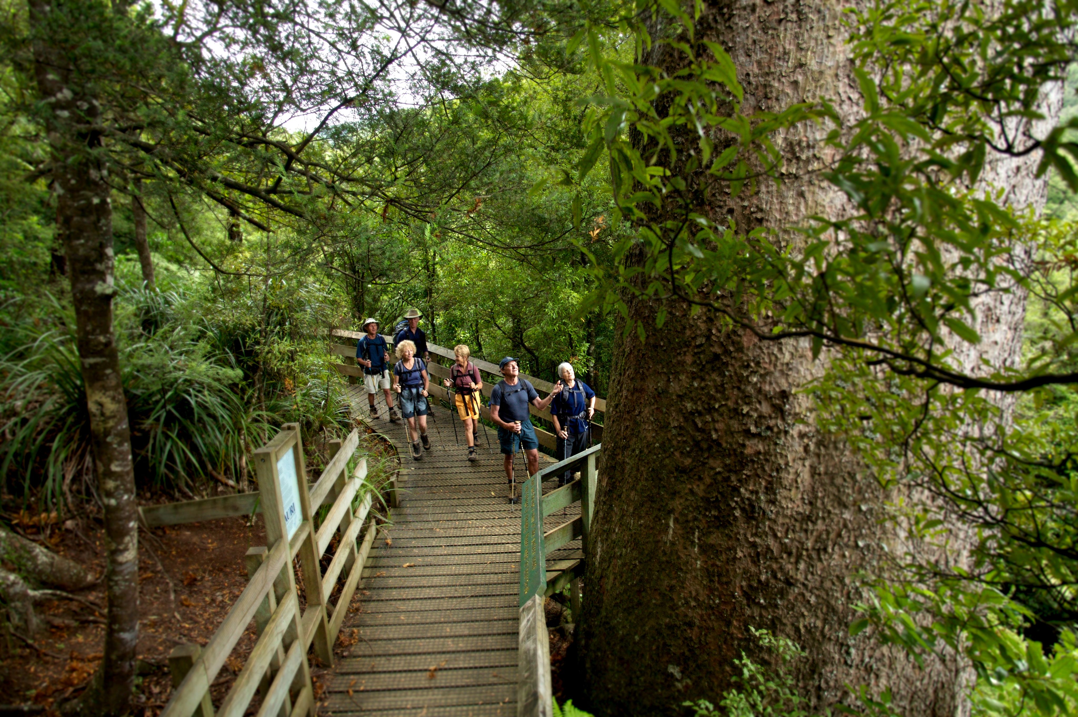The best mountain hikes for beginners