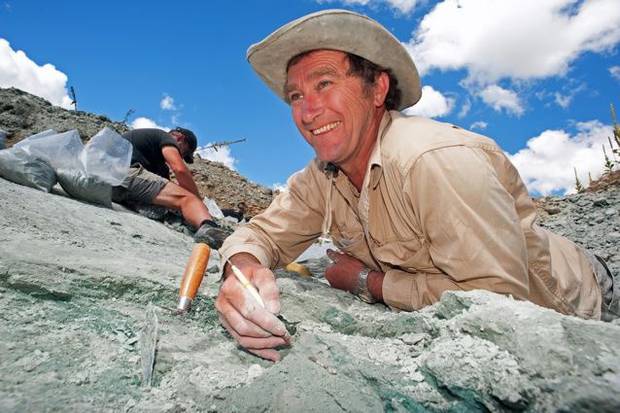 Giant parrot discovery: Hercules the Unexpected stalked New Zealand