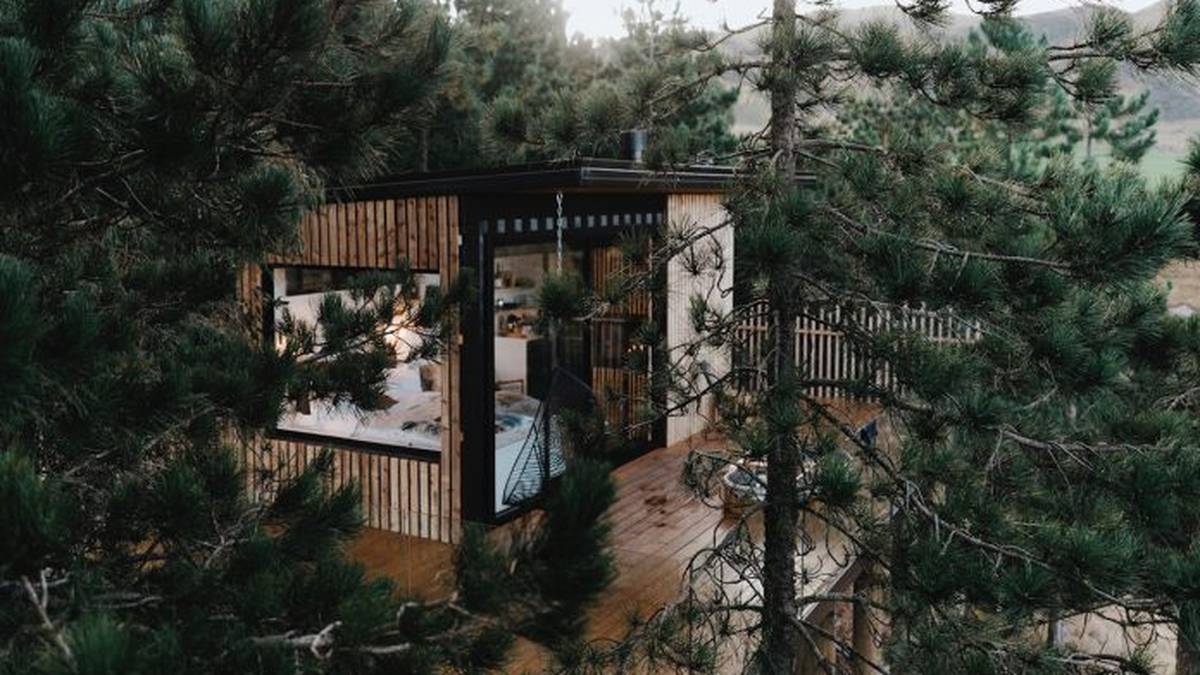 A luxe treehouse for grown-ups: Could this be NZ's coolest hideaway ...