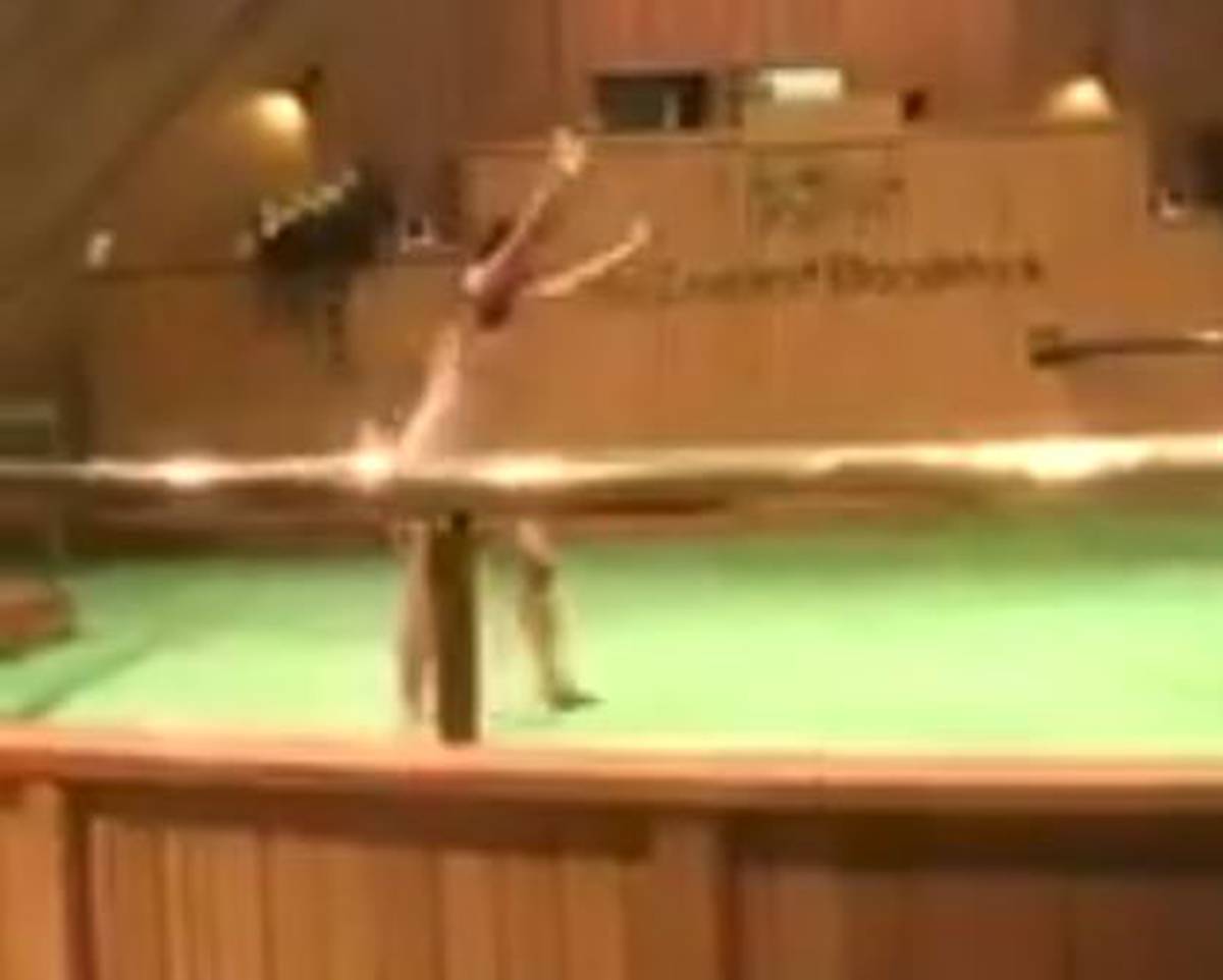 Female streaker san antonio 2017 - zillanery