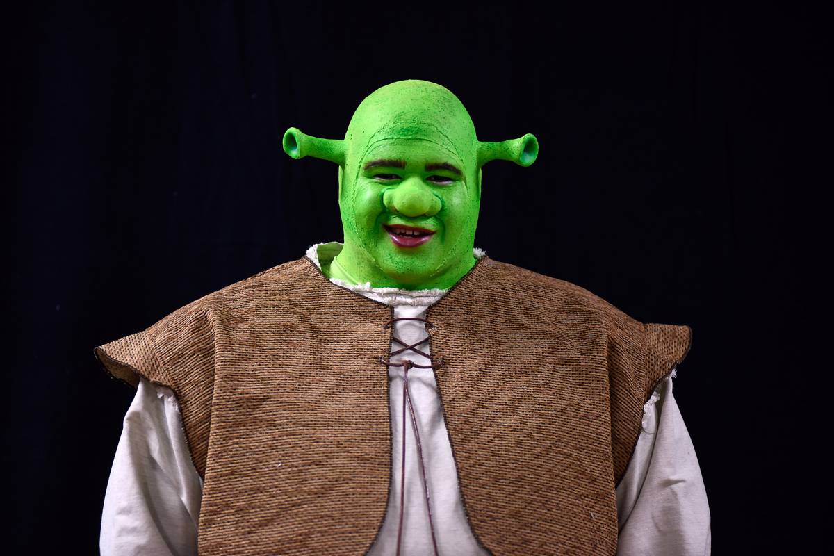 Review: Shrek the Musical - NZ Herald