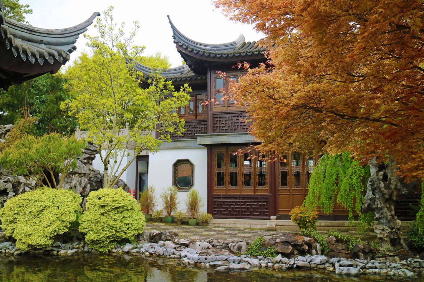 Sip your way through the teahouses of Portland, Oregon