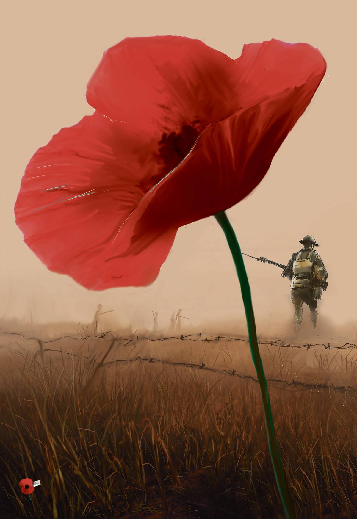 Help line the streets with poppies this Anzac Day with our special ...