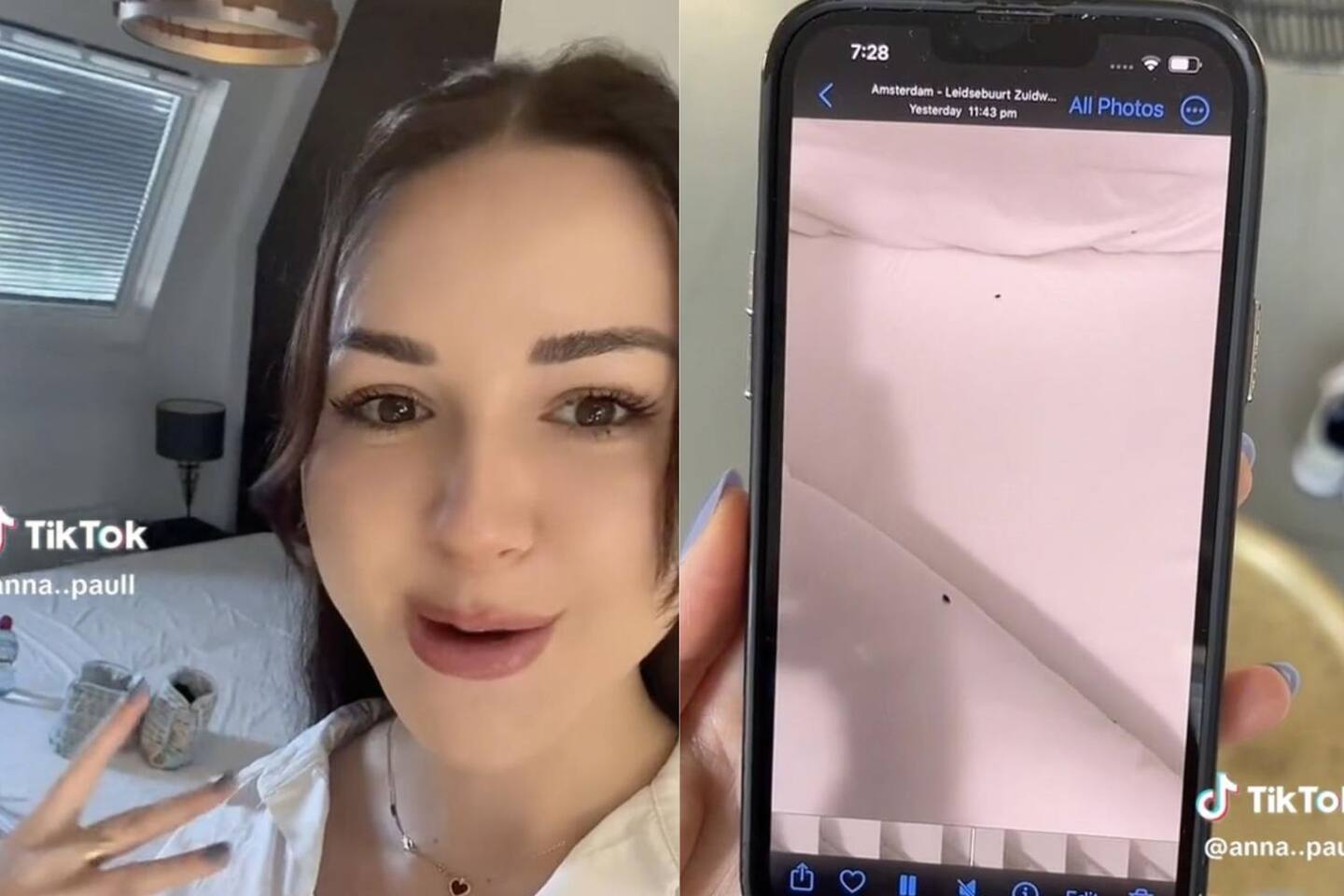 Influencer Anna Paul Makes Shock Bed Bug Discovery In Airbnb Bed In Amsterdam Nz Herald