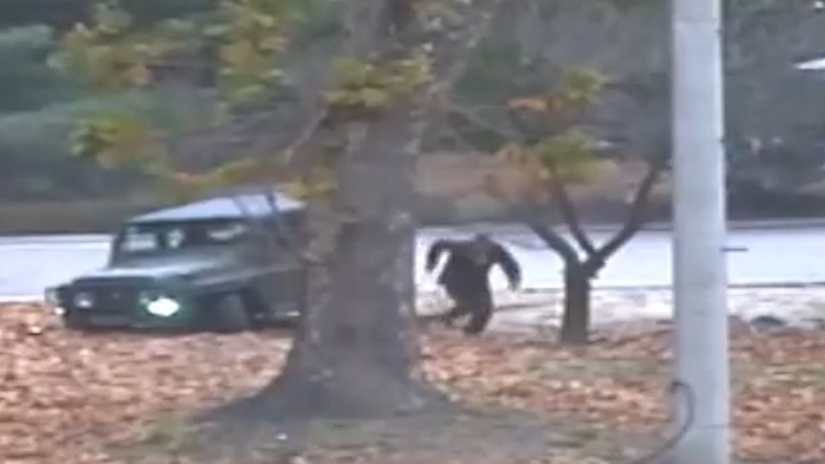Dramatic video shows North Korean defector flee - NZ Herald Dramatic video shows North Korean defector flee - NZ Herald