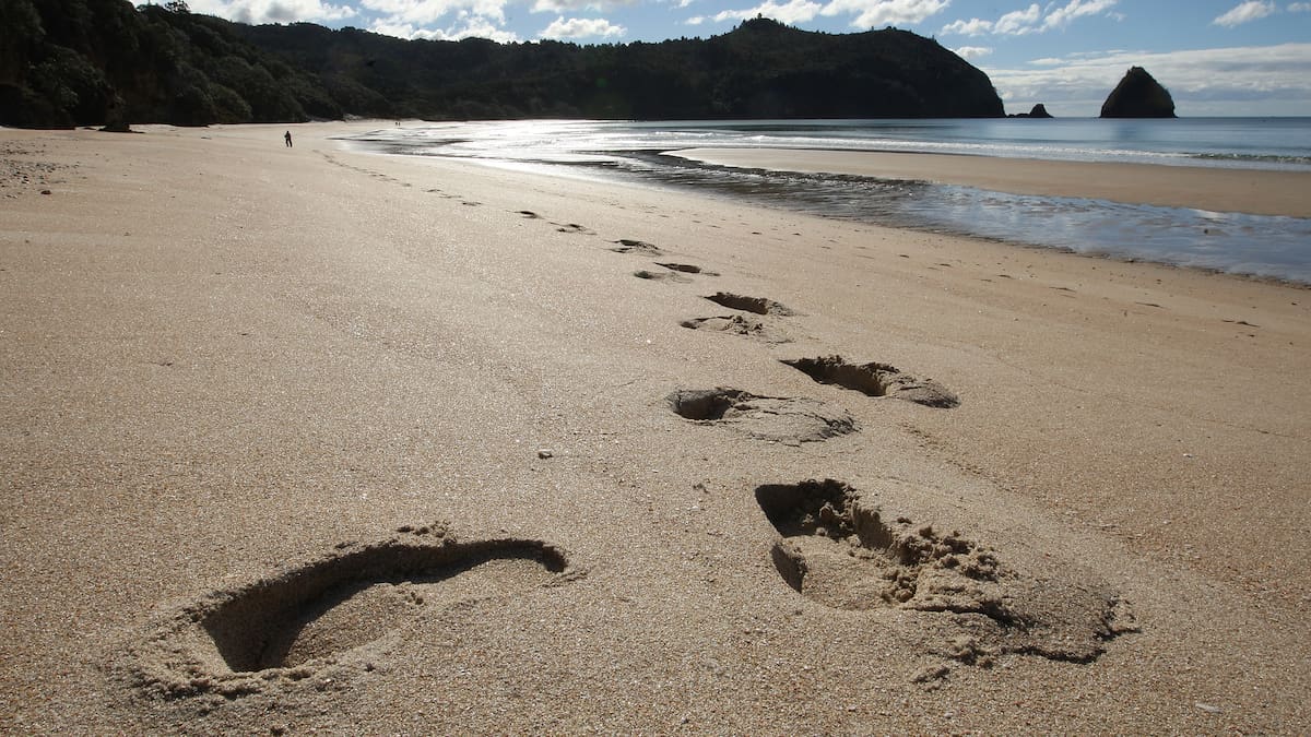 Explained: What today’s Supreme Court foreshore and seabed ruling means ... Explained: What today’s Supreme Court foreshore and seabed ruling means ...