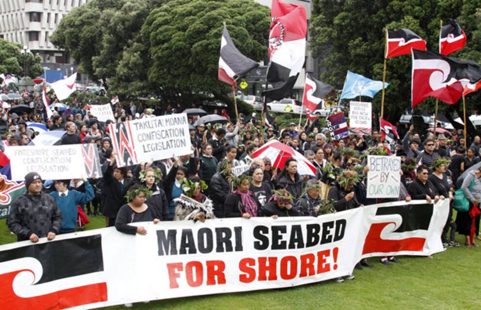 Hikoi arrives at Parliament - New Zealand News - NZ Herald