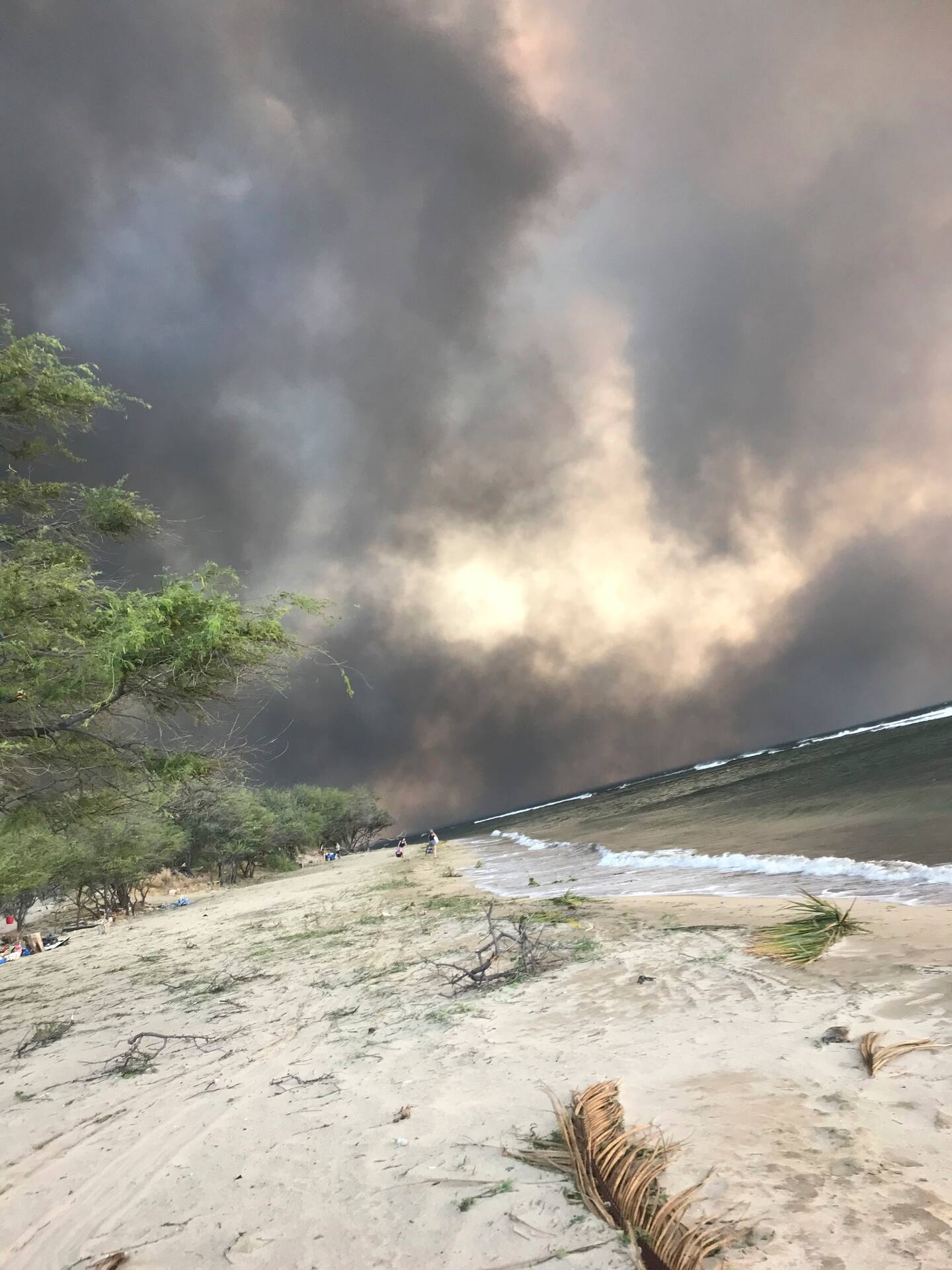 Hawaii Wildfires Maui Fire Survivors Confronting Huge Mental Health