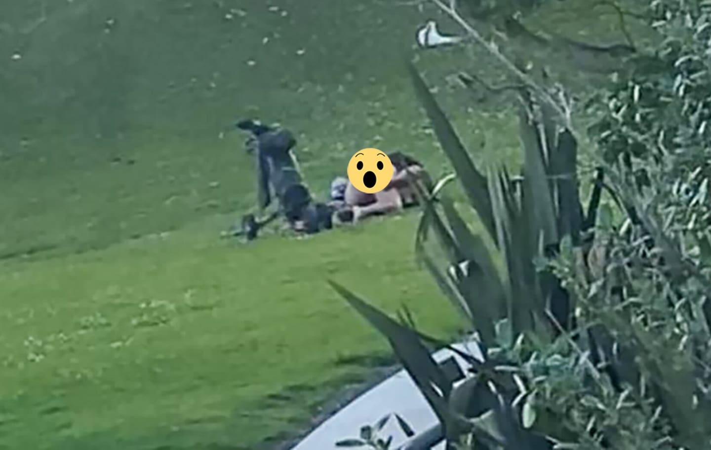 Clarks Beach Golf Club Scandal Eyewitness Speaks Out After Catching